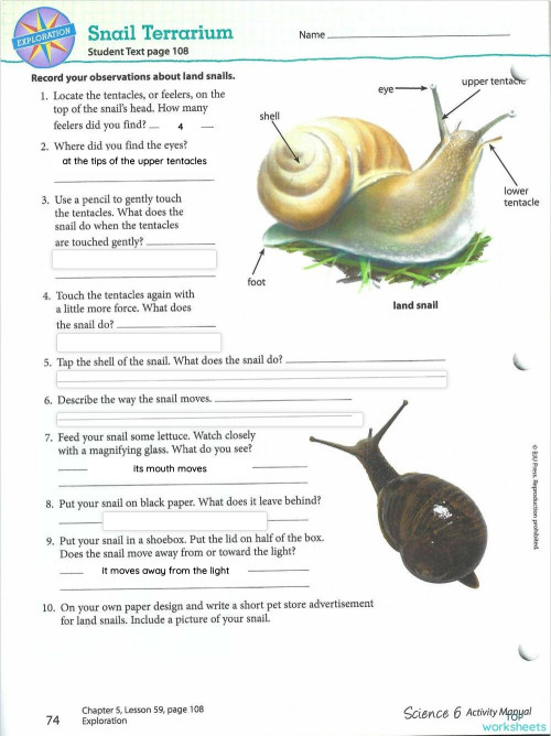 Lesson 59: Snail Terrarium Pg 74. Interactive worksheet | TopWorksheets