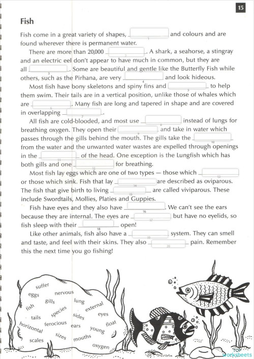 Unit 15 Fish. Interactive worksheet | TopWorksheets