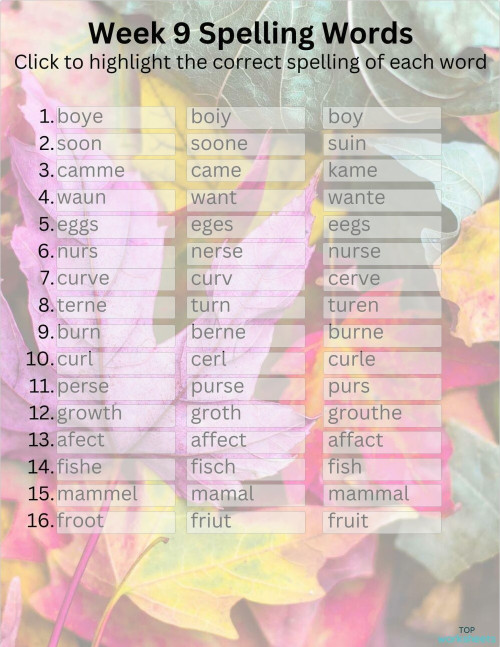 Spelling Words 9.2. Interactive worksheet | TopWorksheets