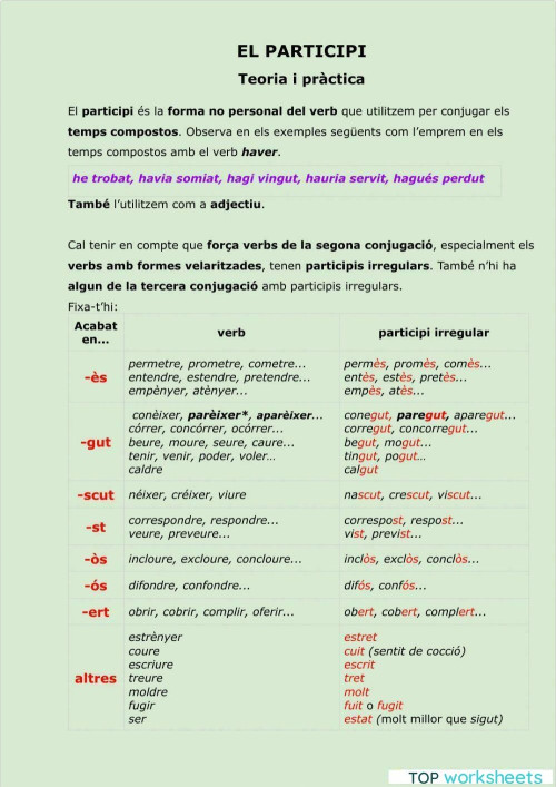 El participi. Fitxa interactiva | TopWorksheets