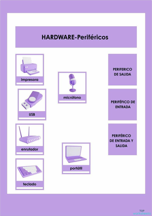 Hardware y software . Ficha interactiva | TopWorksheets