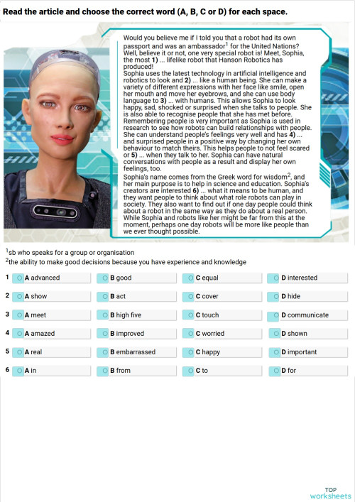 Exam B1 Use of English (Vocabulary). Interactive worksheet | TopWorksheets