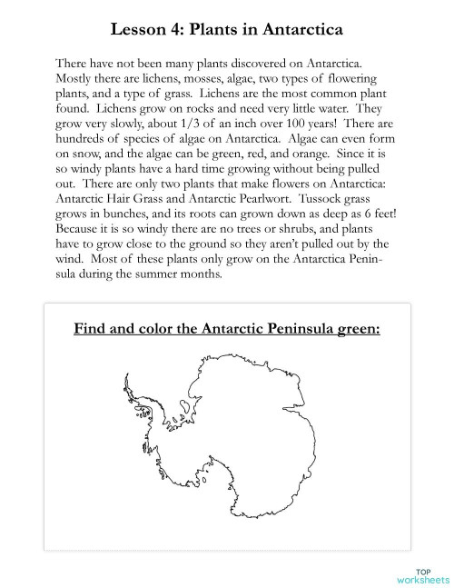 Plants of Antarctica. Interactive worksheet | TopWorksheets