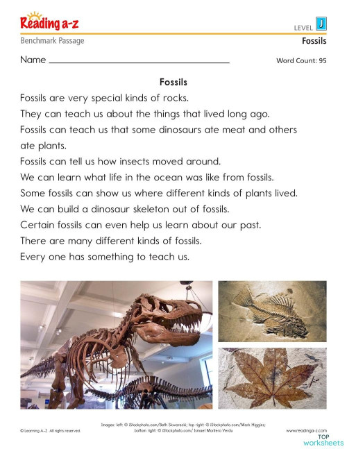 Level J: Fossils. Interactive worksheet | TopWorksheets