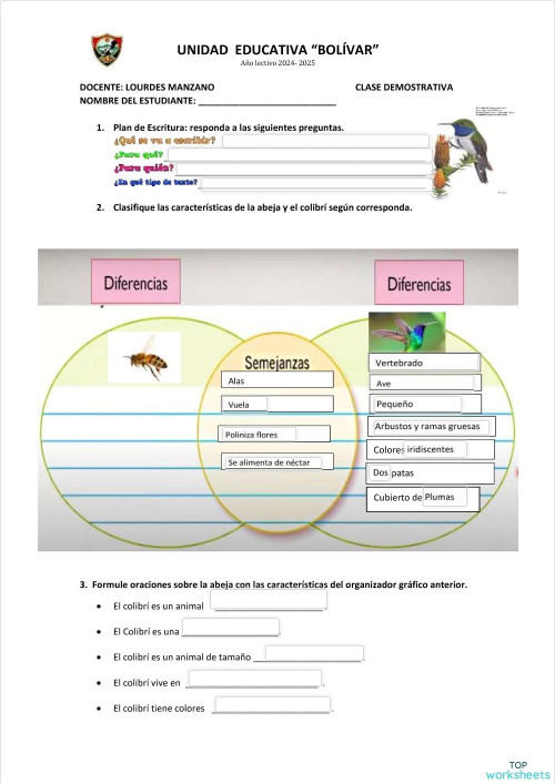 Adjetivos: fichas interactivas y ejercicios online | TopWorksheets