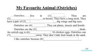 My Favourite Animal (Ostriches) 4T. Interactive worksheet | TopWorksheets