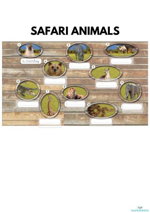 Safari animals. Interactive worksheet | TopWorksheets