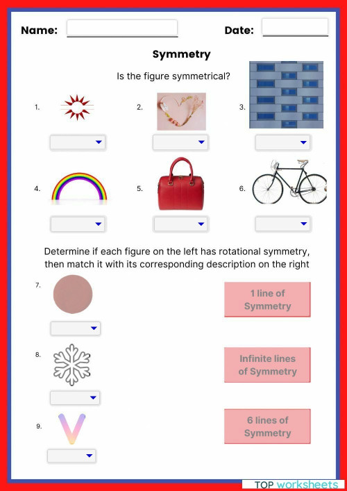 Symmetry. Interactive worksheet | TopWorksheets
