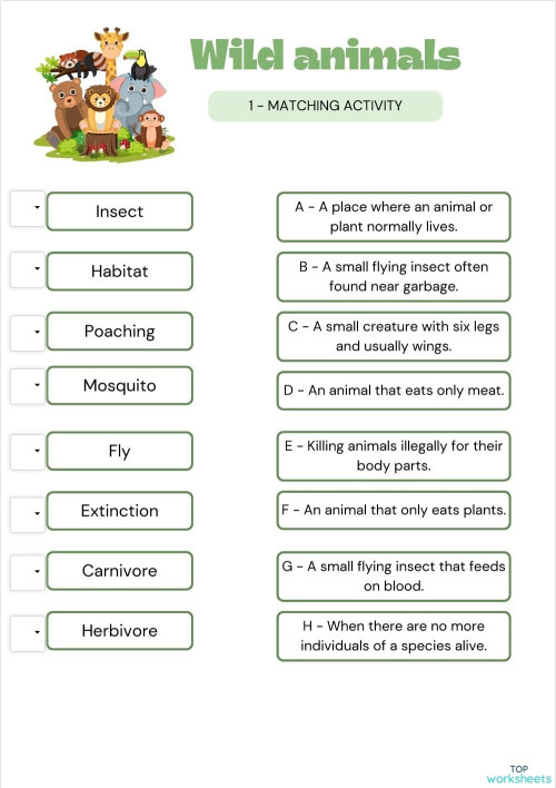 LESSON 3 - VOCAB - ANIMALS. Interactive worksheet | TopWorksheets