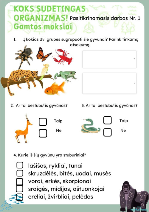 Gamtos mokslai: interactive worksheets and online exercises | TopWorksheets