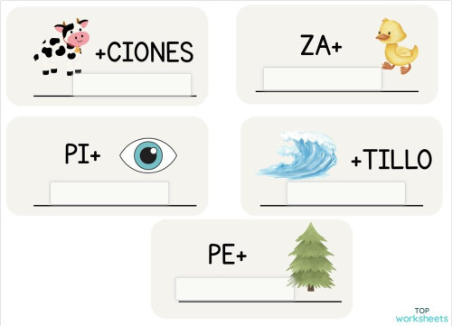 lectura con Pr/Colegio Petit. Ficha interactiva | TopWorksheets