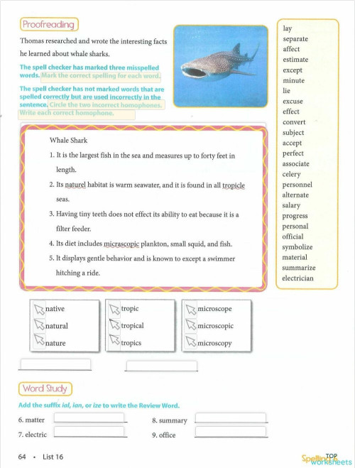 List 16: Proofreading Pg 64. Interactive worksheet | TopWorksheets