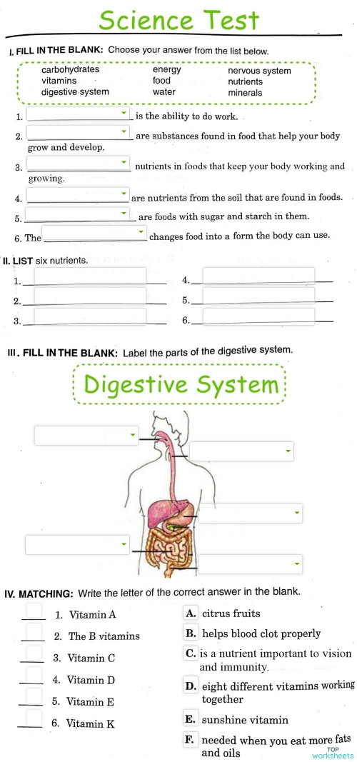 Science Test IV Partial. Interactive worksheet | TopWorksheets