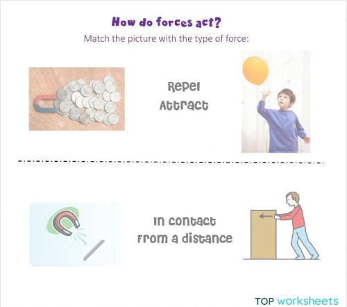 How do forces act?. Interactive worksheet | TopWorksheets