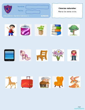 Seres vivos y no vivos 01. Ficha interactiva | TopWorksheets