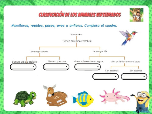 CLASIFICACIÓN DE VERTEBRADOS. Ficha interactiva | TopWorksheets