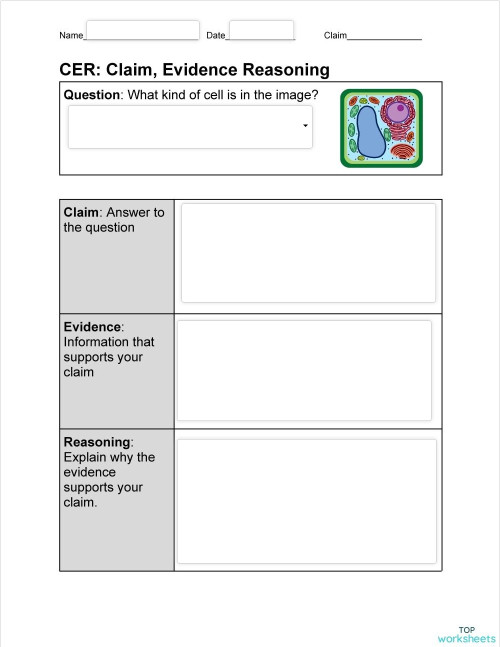 11/17 CER Animal Cell vs Plant Cell. Interactive worksheet | TopWorksheets