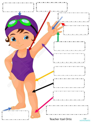 PARTS OF THE BODY PRACTICE. Interactive worksheet | TopWorksheets