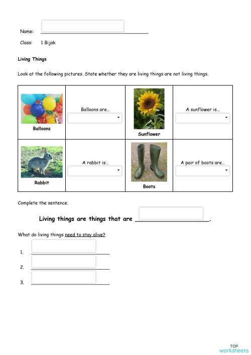 Week 12: Living Things. Interactive worksheet | TopWorksheets
