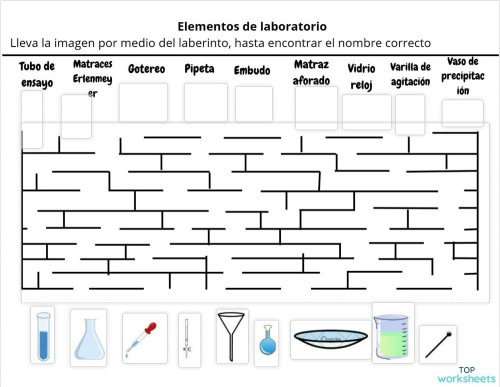 Elementos de laboratorio. Ficha interactiva | TopWorksheets