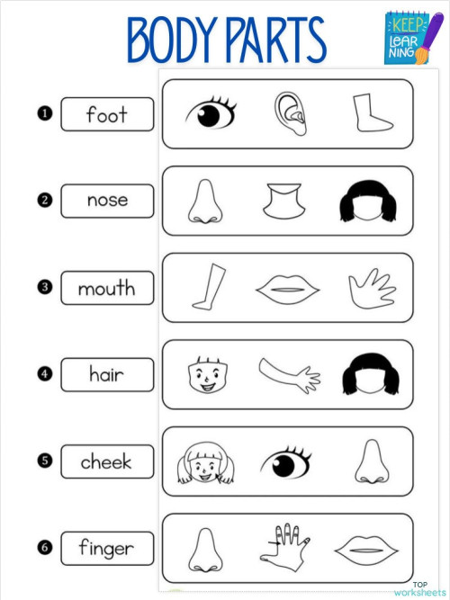 ACTIVITY BODY PARTS NO.2. Interactive worksheet | TopWorksheets