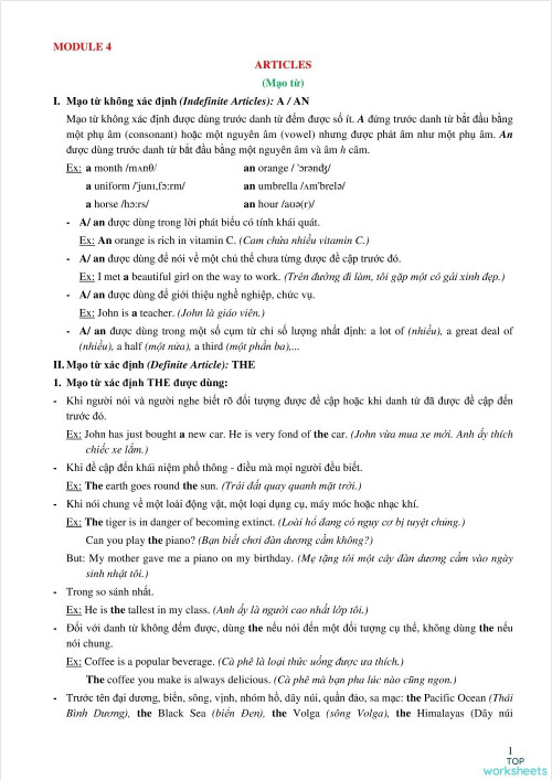 GRADE 9 _ ARTICLES _ MẠO TỪ. Interactive worksheet | TopWorksheets