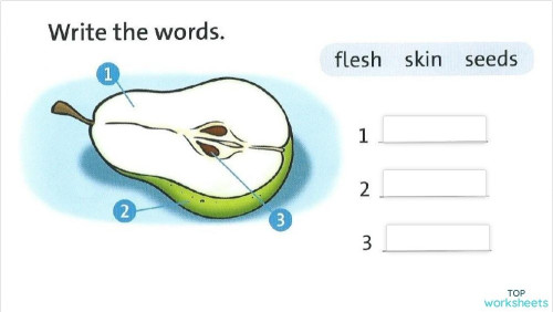 Fruit part 6. Interactive worksheet | TopWorksheets