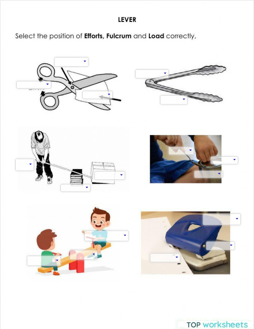 Lever. Interactive worksheet | TopWorksheets