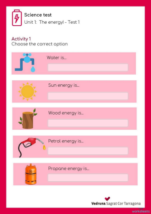 Test 1 - The energy. Interactive worksheet | TopWorksheets