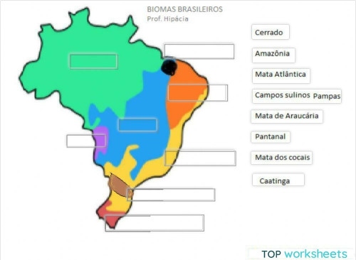 Biomas brasileiros. Ficha interativa | TopWorksheets