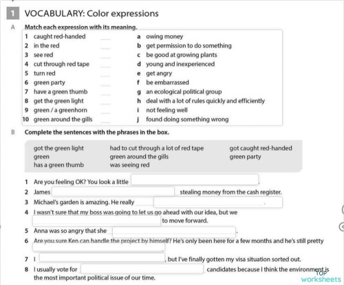 color expressions vocabulary. Interactive worksheet | TopWorksheets