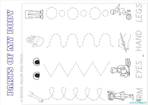 ACTIVITY BODY PARTS K1. Interactive worksheet | TopWorksheets