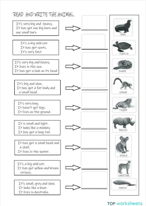 Wild animals descriptions. Interactive worksheet | TopWorksheets