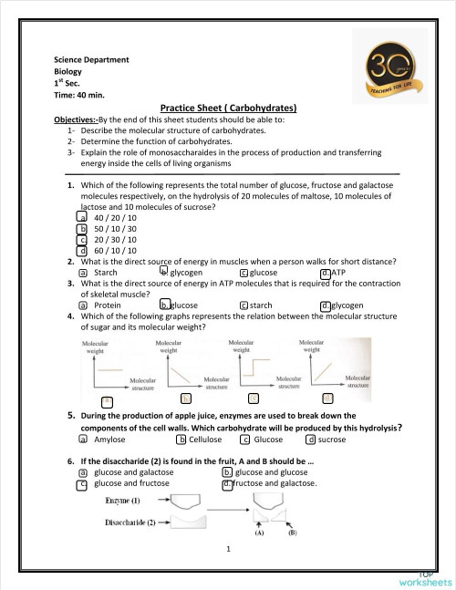 Carbohydrates. Interactive worksheet | TopWorksheets