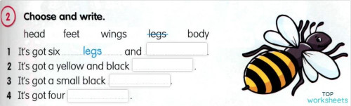 Body parts. Interactive worksheet | TopWorksheets
