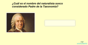 Taxonomia. Ficha interactiva | TopWorksheets