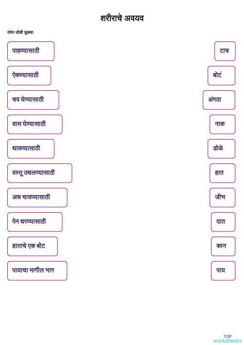 3rd grade: interactive worksheets and online exercises | TopWorksheets