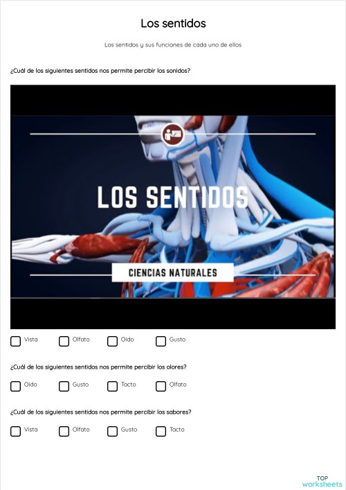 Los Sentidos Ficha Interactiva Topworksheets 4945