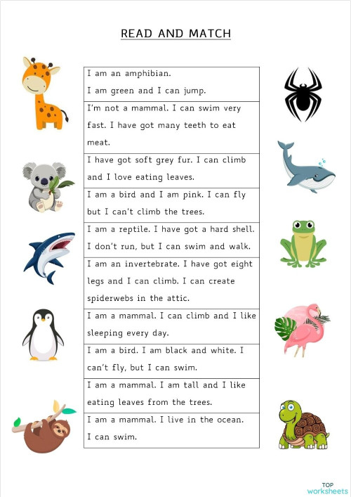 animals_second_page. Interactive worksheet | TopWorksheets