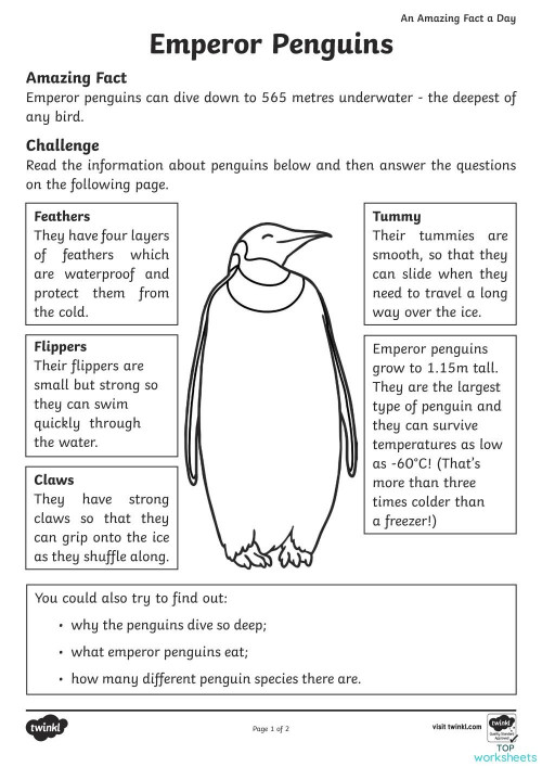 ADAPTATIONS FOR SURVIVING IN THE COLD HABITAT. Interactive worksheet ...