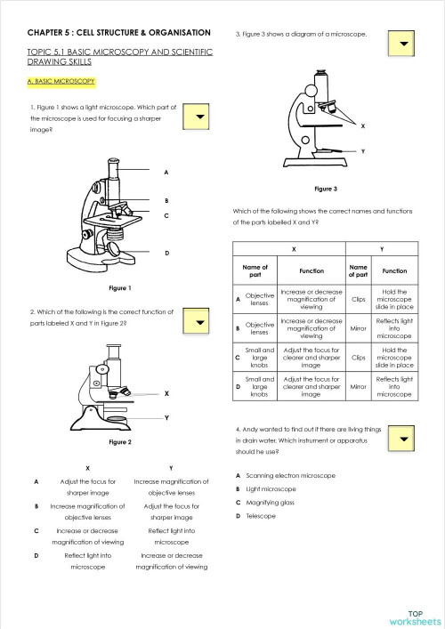 Chapter 5 Cells. Interactive worksheet | TopWorksheets