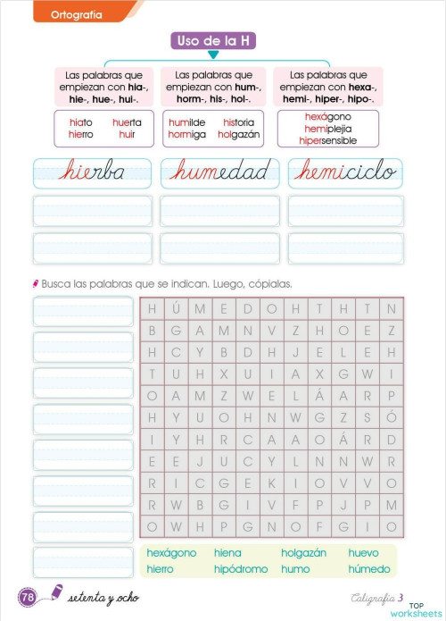 Ortografía: fichas interactivas y ejercicios online | TopWorksheets