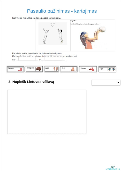 Daiktavardžių linksniai. Interactive worksheet | TopWorksheets