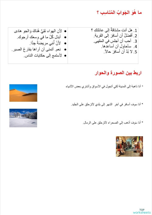 Other: interactive worksheets and online exercises | TopWorksheets