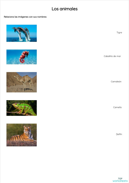 los animales. Ficha interactiva | TopWorksheets