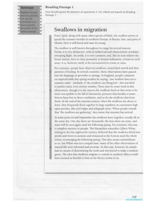 [REA] Scanning. Interactive worksheet | TopWorksheets