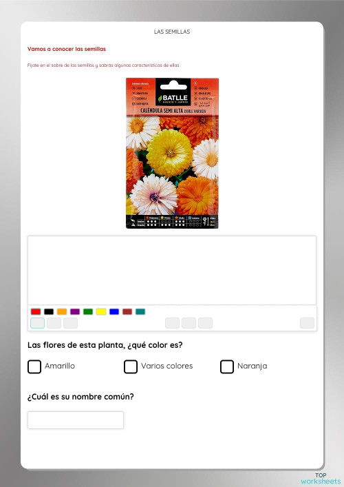 LAS SEMILLAS. Ficha interactiva | TopWorksheets