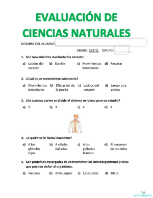 Hoja De Trabajo De Ciencias, Sexto Grado Multiplicación Para Niños