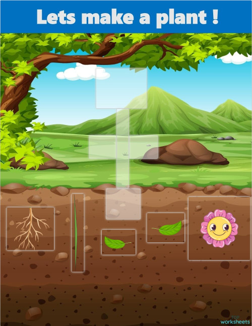 Can you make a plant ?. Interactive worksheet | TopWorksheets