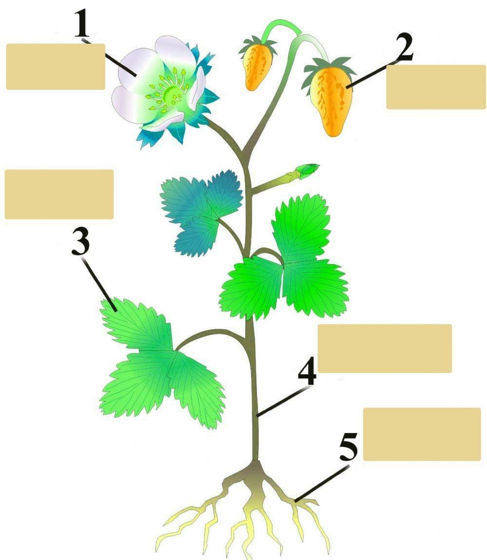trabajo practico 1. Ficha interactiva | TopWorksheets